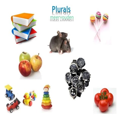 Plurals/ Meervouden | PPTX