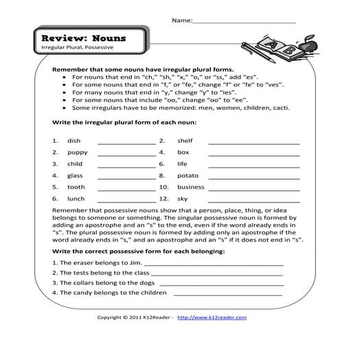 Plural noun worksheet | PDF