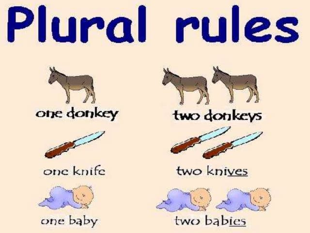 Lesson 7: Singular and Plural Nouns | PPT