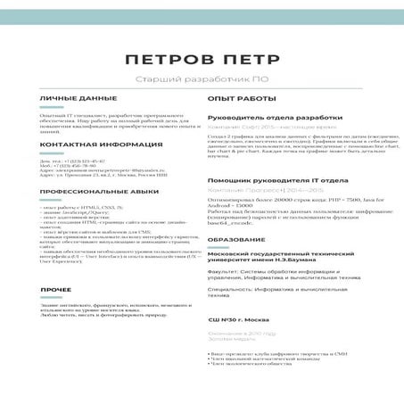 Petr petrov reziume | PDF
