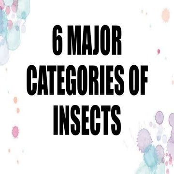PM-6 major categories of insect.pptx