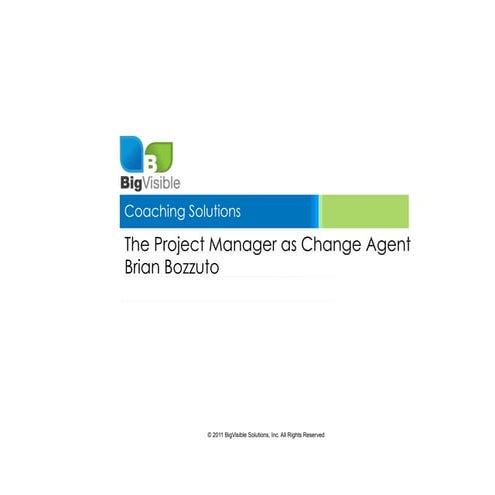 The Project Manager as Change Agent | PDF