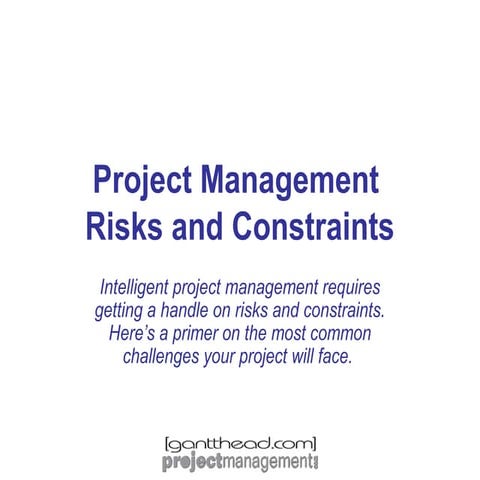 Pm risks-and-constraints | PPT | Business | Business and Finance