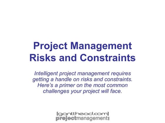 Project Management Risks and Constraints | PPTX | Business | Business ...