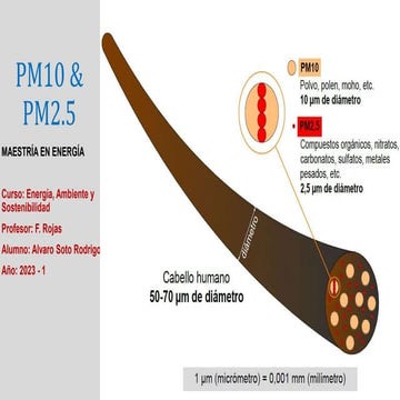 PM 2.5 & PM10.pptx