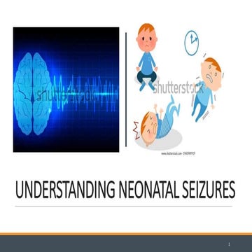PMA-HCP-Understanding neonatal seizures_V2_21122022 copy.pptx