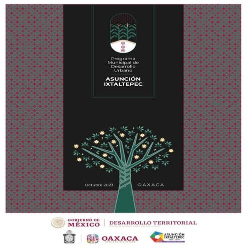 Plan Municipal de Desarrollo Urbano - Asunción Ixtaltepec.pdf