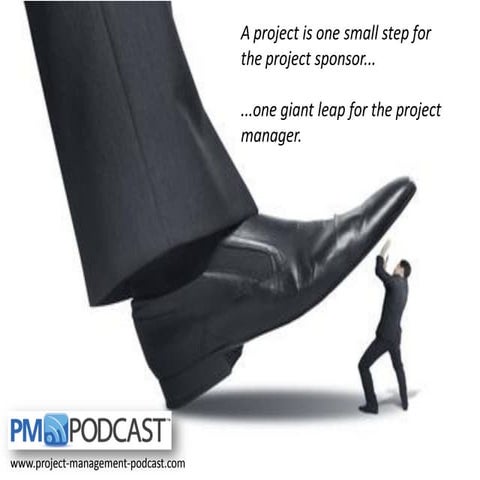 PM Humor Quote: A Project Is One Small Step For The Project Sponsor One ...