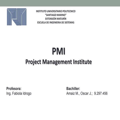 PMI Project Management Institute | PPTX