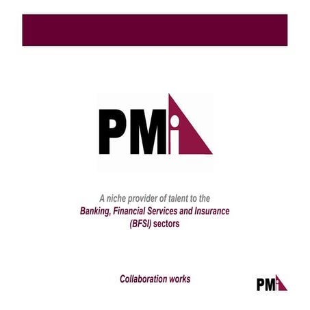 P Mi Global Overview | PDF