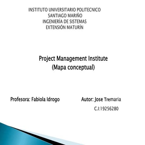 Mapa Conceptual del PMI | PPT