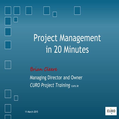 Project Management in 20 minutes | PDF
