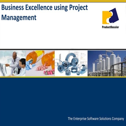 Business Excellence and Project Management | PDF
