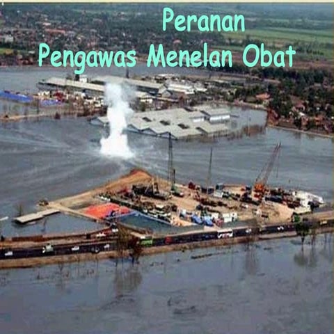 PEMANTAU MINUM OBAT TBC DARI KELUARGA TERDEKAT/KADER TB | PPT