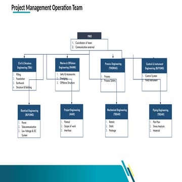 PMO Org Chart Revision example for project case | PPTX