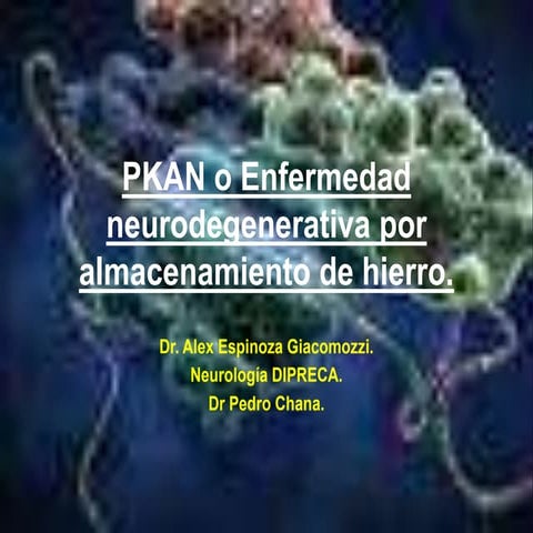 PKAN | PPT