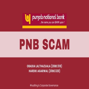 PNB SCAM | PDF