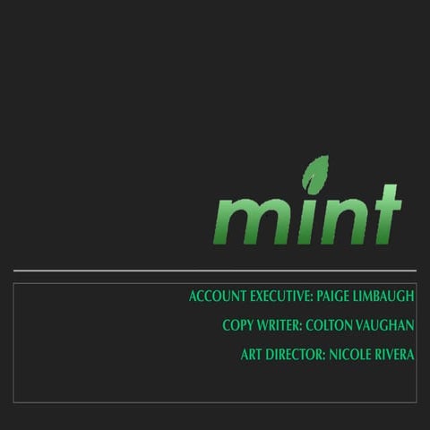 Mint by Intuit Campaign | PDF