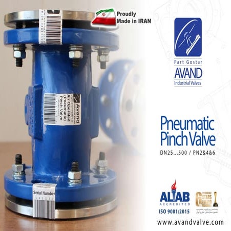 Pneumatic pinch valve DN50 | PPT