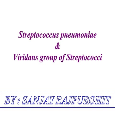 Pneumococci BACTERIA | PPTX