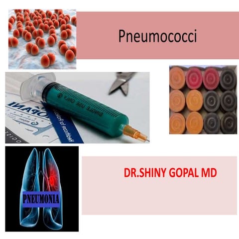 Pneumococci | PPTX