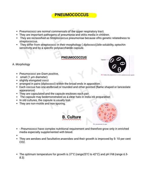 Spirillaceae | PPT