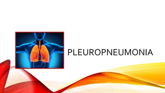 PEMERIKSAAN (APENDISITIS & SCHUFFNER) fixx.pptx