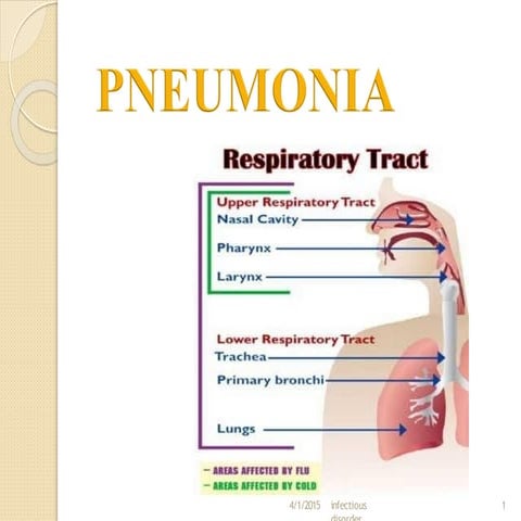 Pneumonia Respiratory system disorders presentation | PPTX