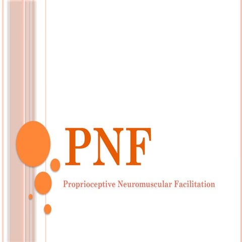 Comprehensive Guide to Proprioceptive Neuromuscular Facilitation (PNF ...