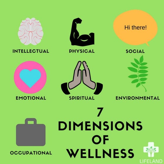 The Seven Dimensions of Wellness | PDF