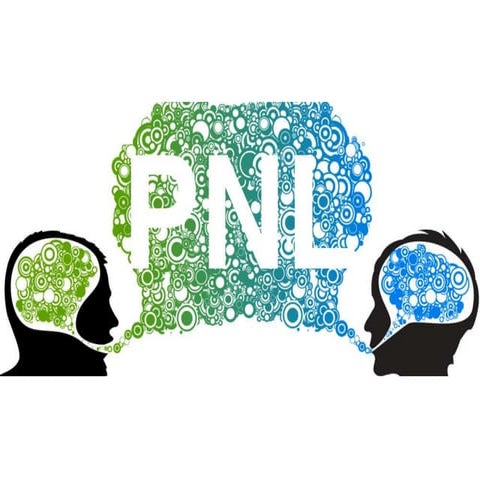 PNL | PPT