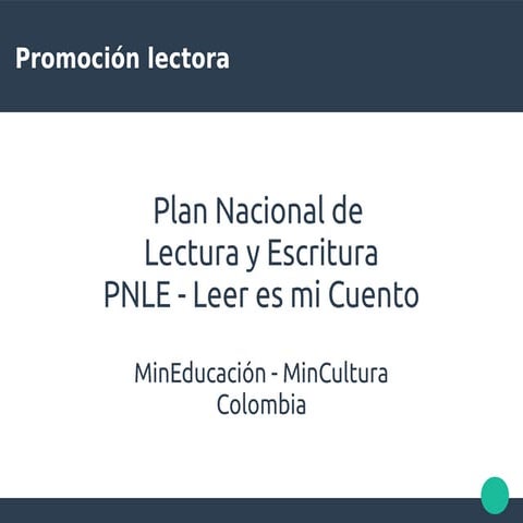 Plan Nacional Lectura y Escritura - Resumen | PDF
