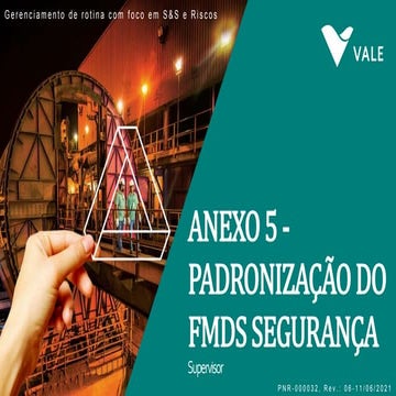 PNR-000032 - 06 - Anexo 5 - Padronização do FMDS S&S Supervisor_rev.06 ...