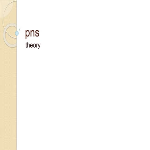 Pns | PPT