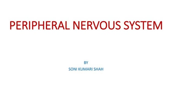 Peripheral Nervous System (PNS) | PPT