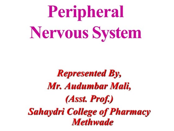 Nervous system PPT for grade 10 (basic concepts regarding human nervous ...