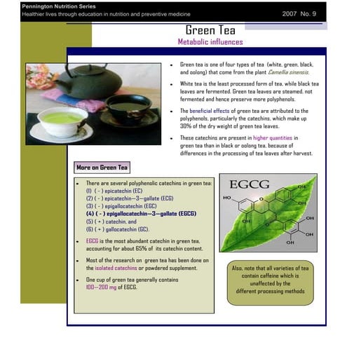 Metabolic effects of green tea | PDF