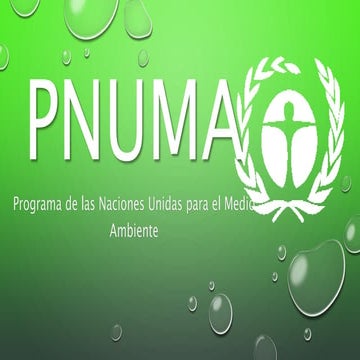 Pnuma | PPTX