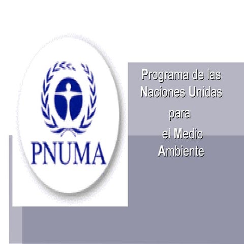 Pnuma Expo | PPT