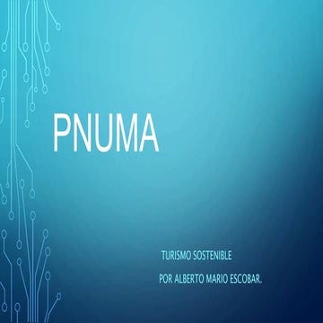 Pnuma 1 | PPTX