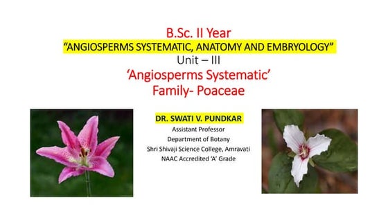 Family Poaceae | PDF | Gardening | Home & Garden