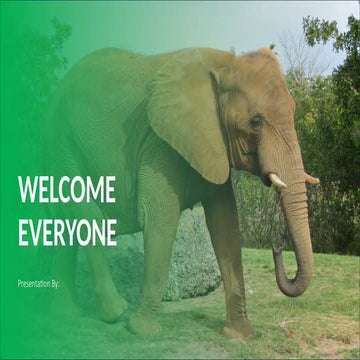 Poaching Cruelty What Why And How Pptx