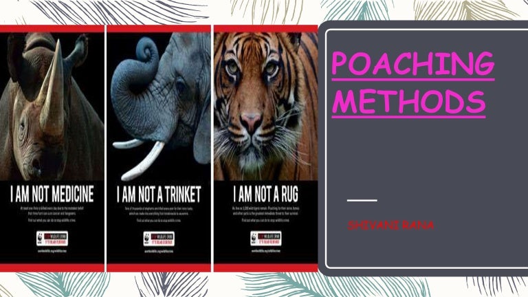 Poaching Meaning