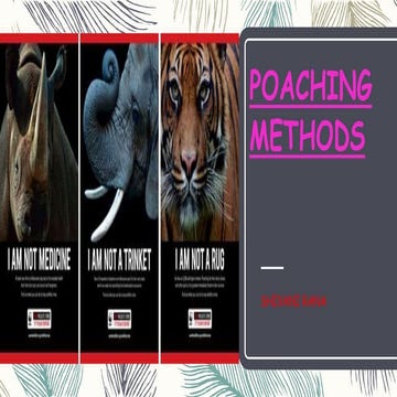 Poaching methods | PPTX