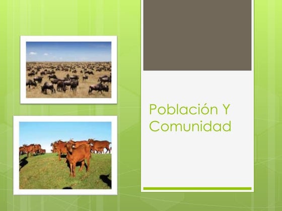 Individuo, especie, población, comunidad y ecosistema | PPT