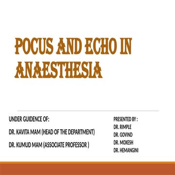 ECHO WINDOWS AND VIEWS.pptx