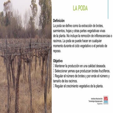 Presentacion_Poda_Arboles ornamentales.pptx