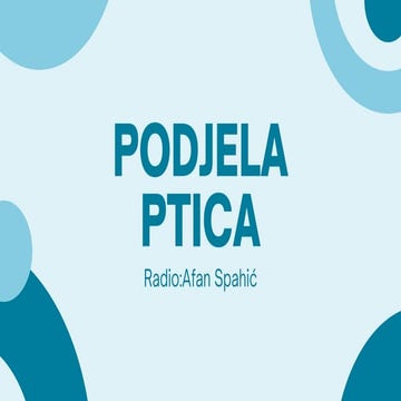 Podjela ptica.pdf odjdfbsbfnsndbdbbbddnb | PPT
