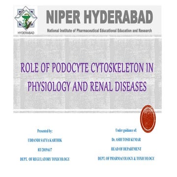 Podocyte mediated kidney diseases(diabetic nephropathy) | PPTX