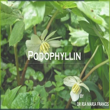 Podophyllin- cytotoxic drug used in treatment of anogenital wart | PPTX